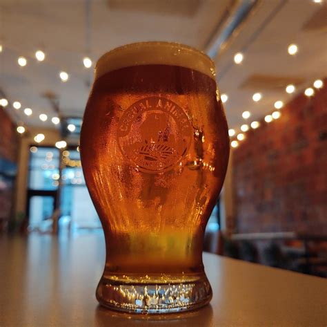 Casual Animal Brewing Co Home Facebook