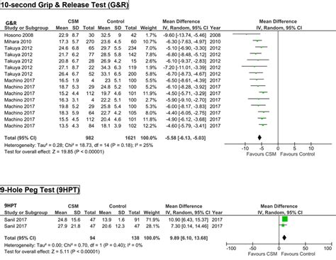 Meta Analysis Of Physical Performance Tests For Upper Limb Between Dcm