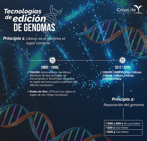 Edición de Genomas de Plantas Engormix