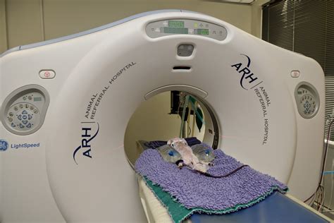 Small Animal Talk Johns Hopkins Opens Advanced Imaging Centre For