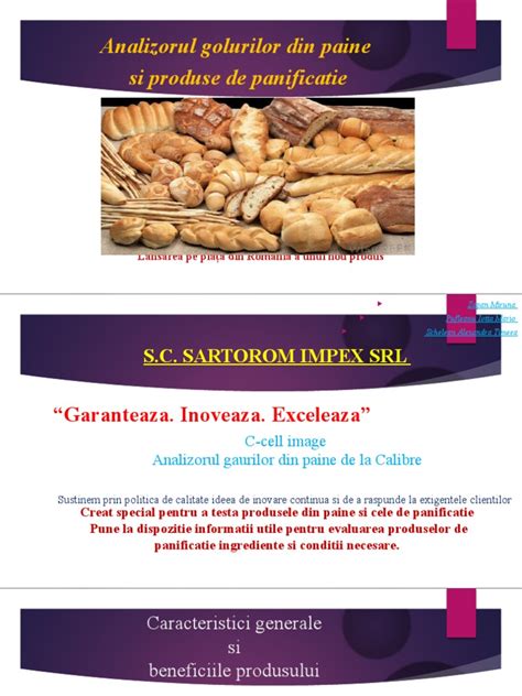 Prezentare Ppt Proiect Pdf
