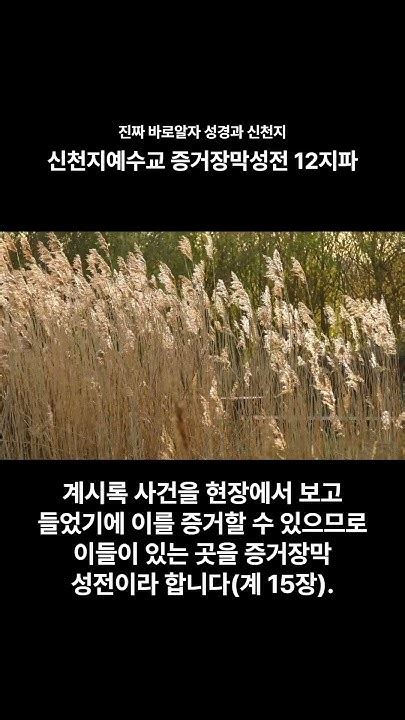 신천지예수교 증거장막성전 12지파 [진짜바로알자성경과신천지말씀중에서] 신천지 신천지예수교회 10만수료식 Youtube