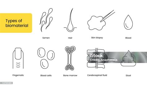 생체 재료의 종류 벡터의 선 아이콘 세트 인간의 정자와 머리카락 혈액과 손톱 뇌척수액 및 골수의 그림 아이콘에 대한 스톡 벡터 아트 및 기타 이미지 Istock
