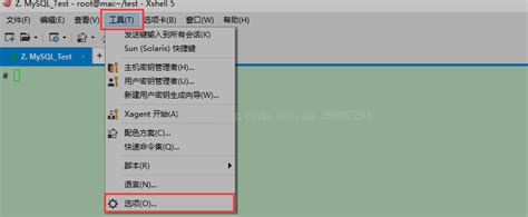 xshell鼠标选中 实现快捷复制和粘贴 xshell 鼠标选中赋值 csdn博客