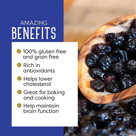 Dried Blueberries No Sugar Added 2 Lbs Blue Berries Fruit Dehydrated