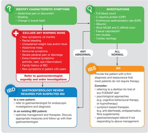 Differentiating Between IBS And IBD Crohns Colitis Australia CCA