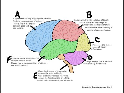 Final Lab Diagram Quizlet