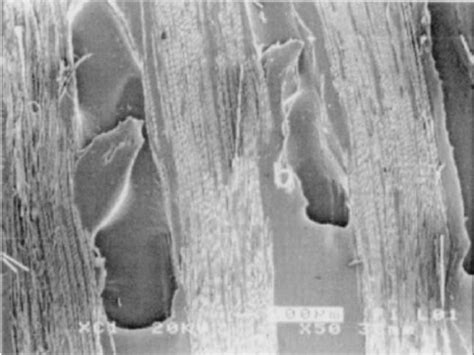 Cross Section Through Tensile Test Specimen Download Scientific Diagram