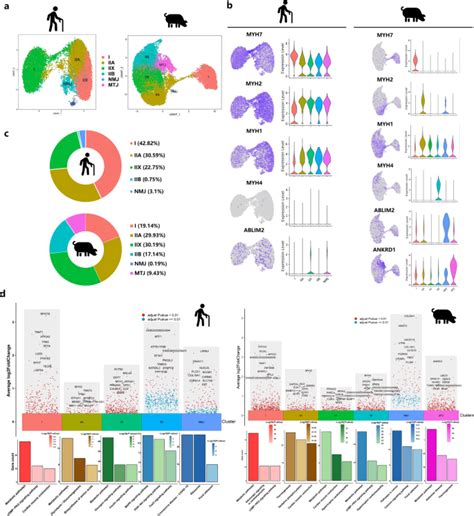 Integrative Cross Species Analysis Reveals Conserved And Unique