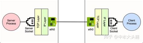 手撕Linux SocketSocket原理与实践分析 知乎 手撕Linux SocketSocket原理与实践分析 知乎