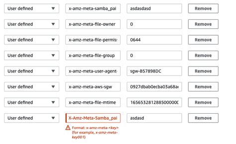 Invalid Metadata Key Names Result In A Failure To Transfer Xattr