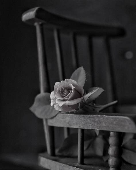 Училище Мисли по време на Задушница Ти просто спря да бъдеш там където очите ми могат да