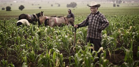 An Opportunity To Reassess The Effects Of Nafta On Mexico Borgen