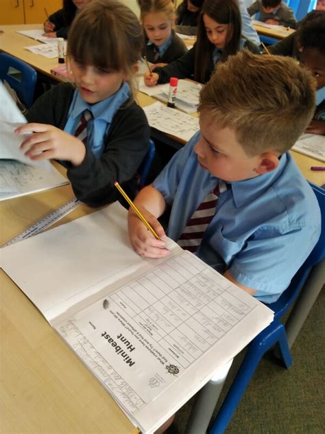 Y4 Science Classifying Minibeasts