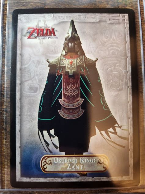 Usurper King Zant Cosplay