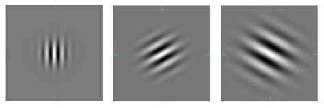 Examples Of The 2d Gabor Filters With Various Orientations 0 • 60