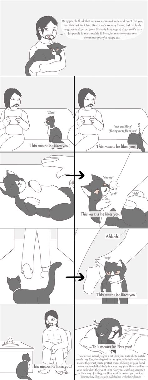 Oc Cat Body Language R Comics