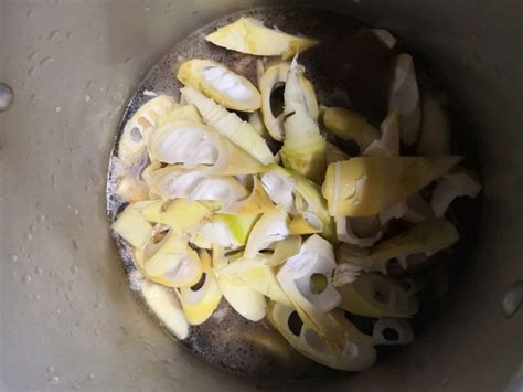 排骨炖春笋怎么做 排骨炖春笋的做法 豆果美食