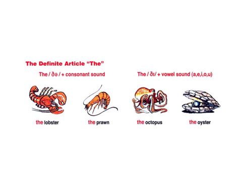 10 Articles 7 Class