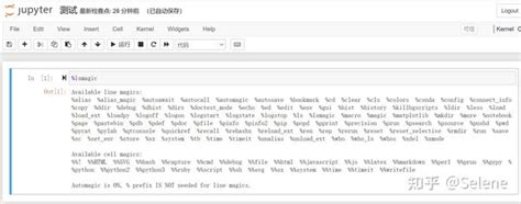 Python Jupyter Notebook