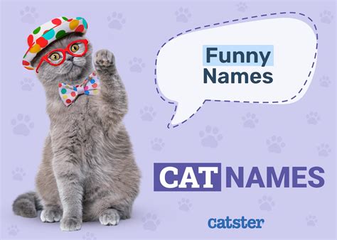Funny Stupid Cat Names Meet All Of Ree Drummonds Four Legged