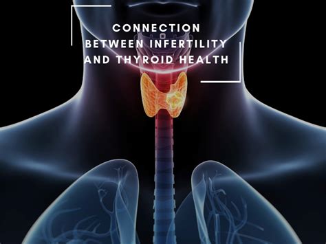 Connection Between Infertility And Thyroid Health The Center For Diabetes And Endocrine Care