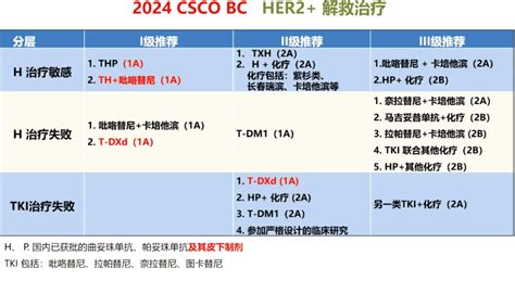 2024全国乳腺癌大会丨殷咏梅教授：csco Bc指南更新，her2 晚期乳腺癌患者的治疗选择更加多元化、个体化 研究 调整 进行了