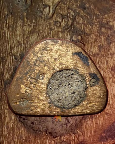 รูปหล่อรุ่นเเรก หลวงปู่สิงห์ วัดโบสถ์ ศีขรภูมิ เนื้อทองผสม ปี ๒๕๕๗ รหัส 1119 พระเครื่อง พระแท้