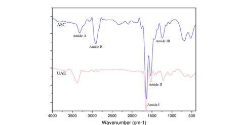 Ftir Spectra Of Collagen From Barramundi Skin Extracted Using