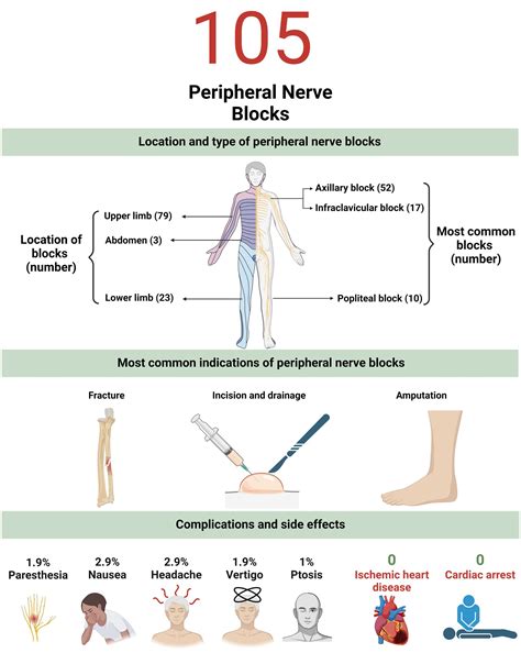 Frontiers Experimental Implementation Of The Peripheral Nerve Block