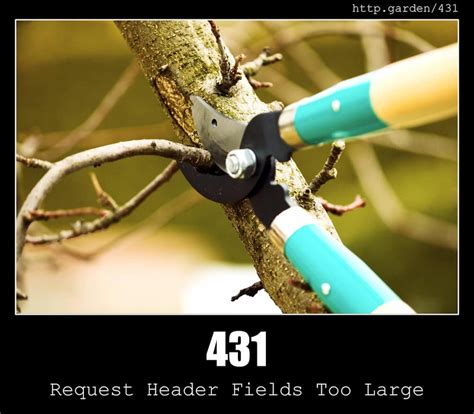 431 request header fields too large status code and gardening