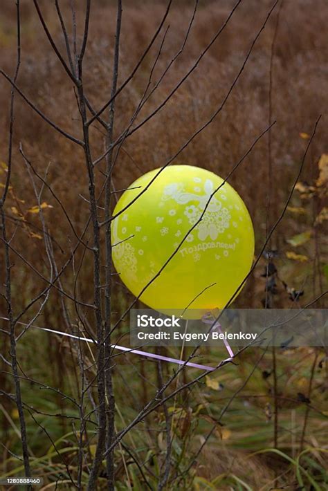 노란 풍선이 나뭇가지에 얽혀 있어 풍선에 비문 축하합니다 0명에 대한 스톡 사진 및 기타 이미지 0명 3차원 형태 갈색 Istock