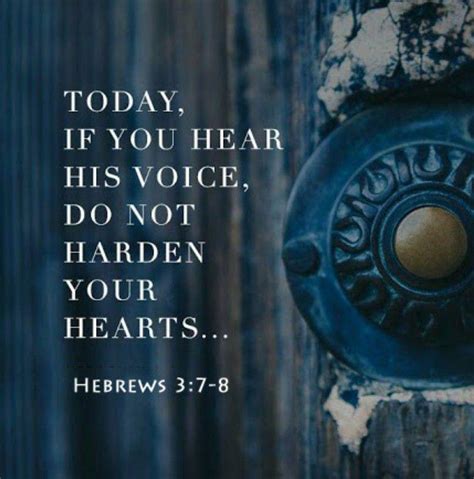 United Hmo Update We Are Pleased To Announce That We Have Just Added Icare Other Hmo