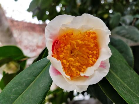 管理人からで〜す。 エロ下着もっこり