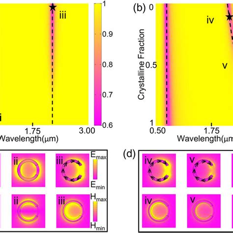 Bianisotropy And Tunable Magnetic Resonance Transmission Through The