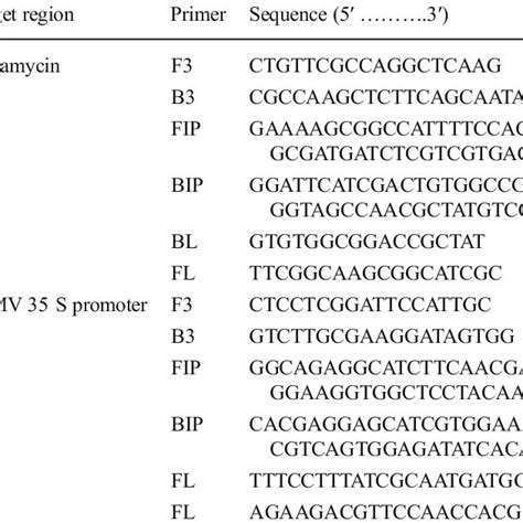 Standardization Of Loop Mediated Isothermal Amplification Lamp And