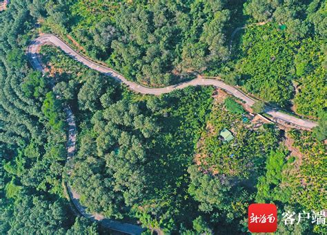 为民办实事 2023年海南将为逾262公里村道系上“安全带” 新闻中心 南海网