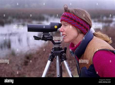 Birdwatching Willapa Bay National Wildlife Refuge Washington Stock