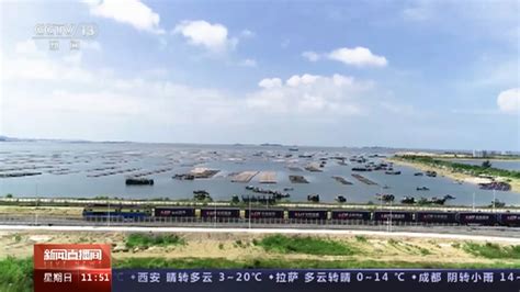 聚焦世界看两会新闻频道央视网