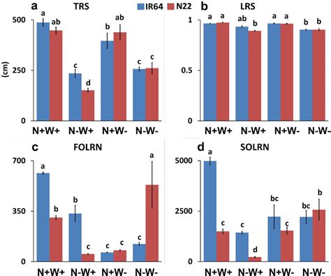Root System Architecture Rsa Of Two Rice Genotypes Ie Ir64 And Download Scientific