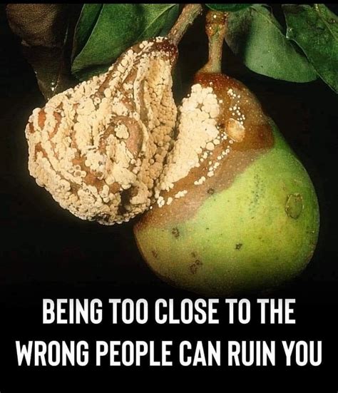 Avoid The Negative Influence This Could Be Difficult Sometimes Peers… Eugene De Jager