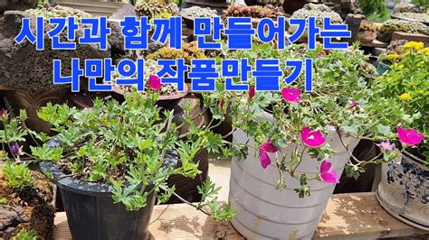 내가 작품으로 만들고 있는 아이들와인컵쥐손이황실피라칸사빈카마이너매화헐떡이금화고광나무 Youtube