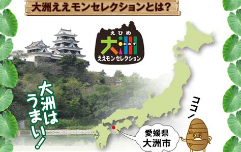 大洲ええモンセレクション認定 大洲ご当地カレー「さといもカレー」