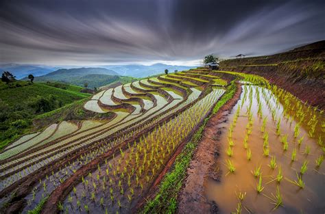 壁紙、2048x1356、タイ王国、畑、風景写真、risovye Polya、雲、ハイダイナミックレンジ合成、自然、ダウンロード、写真
