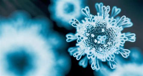 Bird Flu Outbreak Sparks Theories Linking Us Government To Russian