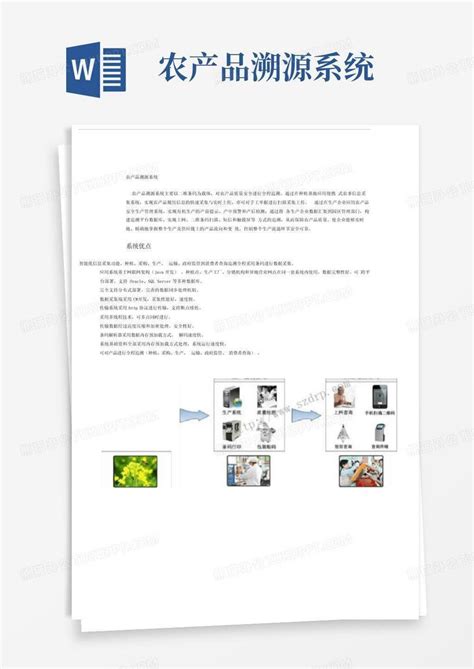 农产品溯源系统word模板下载编号qdyxrwyd熊猫办公