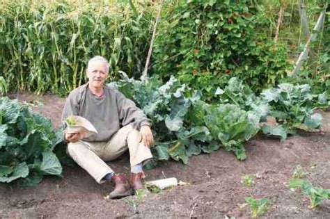 Mix It Up Homemade Organic Fertilizer Recipe Mother Earth Living