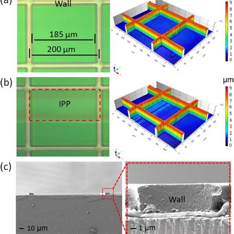 A Optical Microscope Photographs Of The Ipp Of Different Layers B