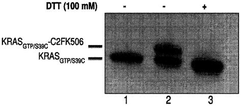 Methods And Reagents For Analyzing Protein Protein Interfaces Eureka