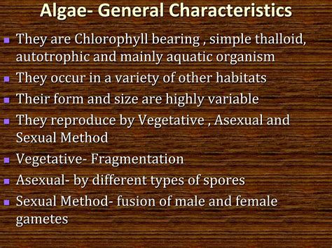 Algae General Characters And Classification Pptx